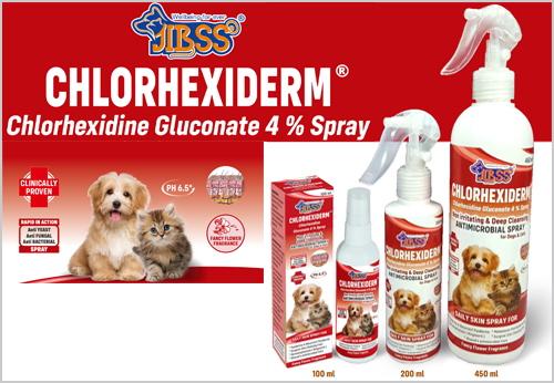 JIBSS | Wellbeing for ever