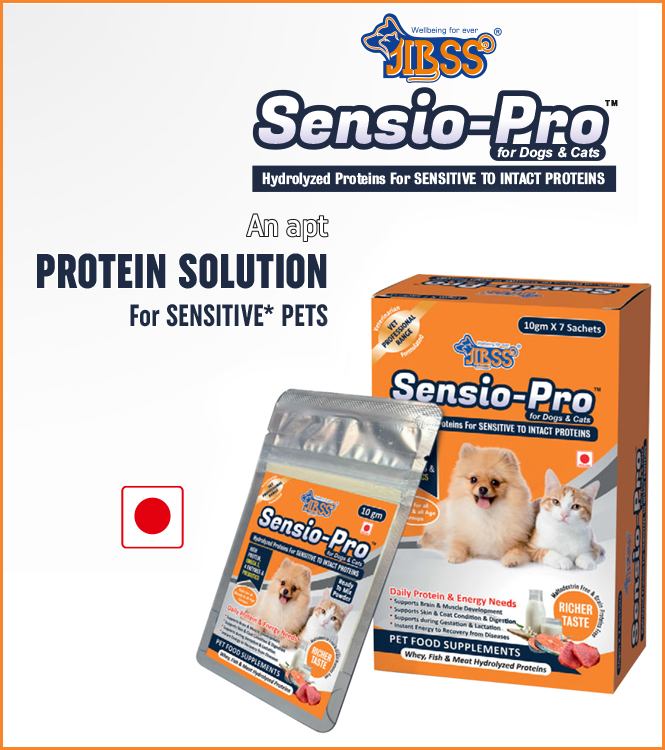 JIBSS | Wellbeing for ever